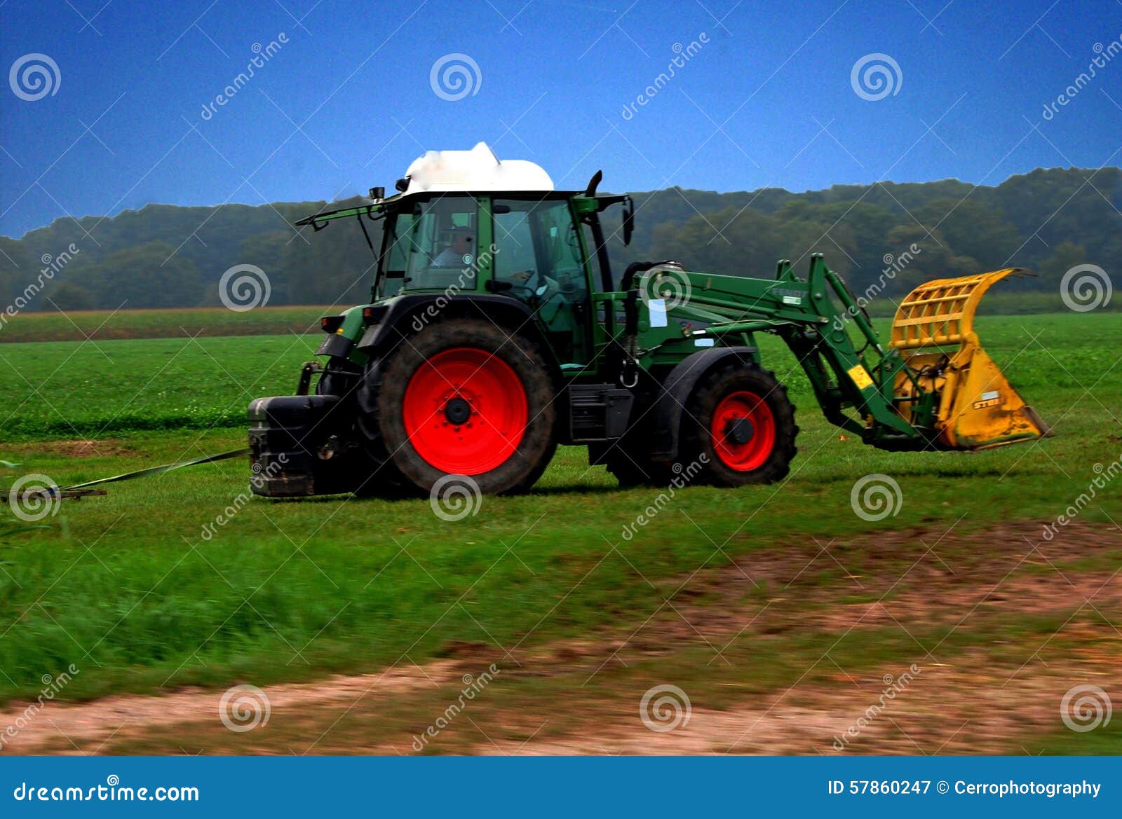 Bio Farming In The Netherlands, Dutch Glass Greenhouse With Strawberry ...