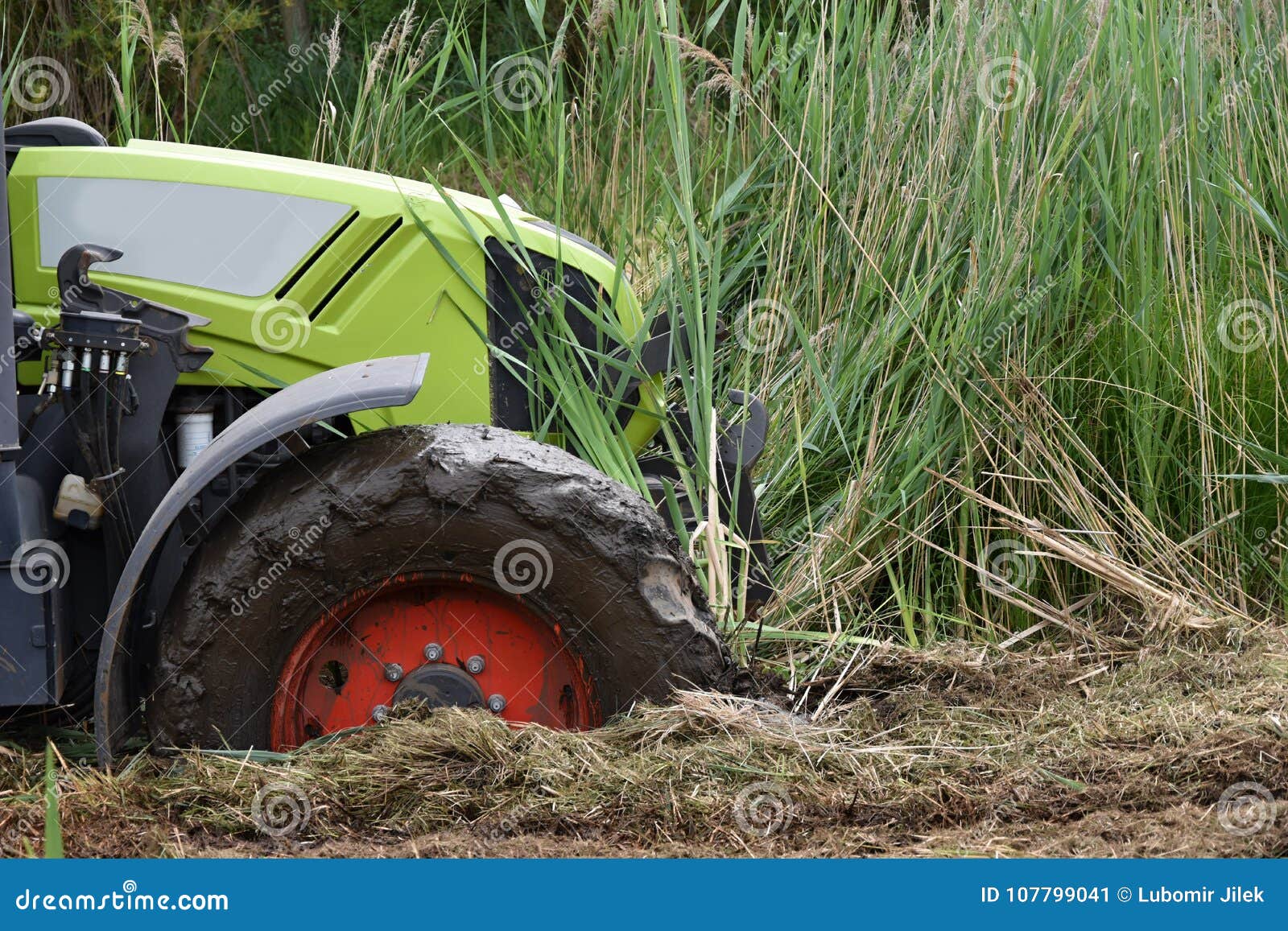 The Tractor Fell into the Swamp. Stock Image - Image of construction ...