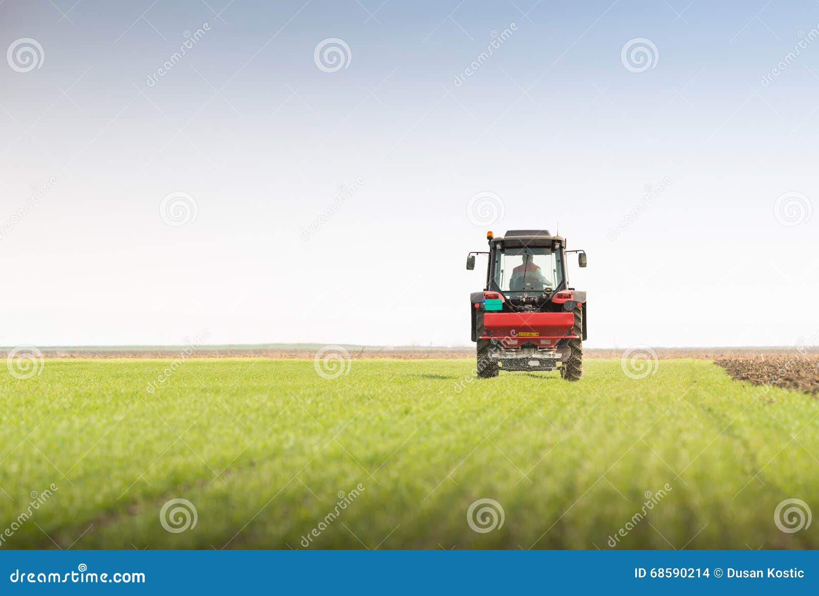 Tractor Fertilizing in Field Stock Photo - Image of tractor, wheat ...