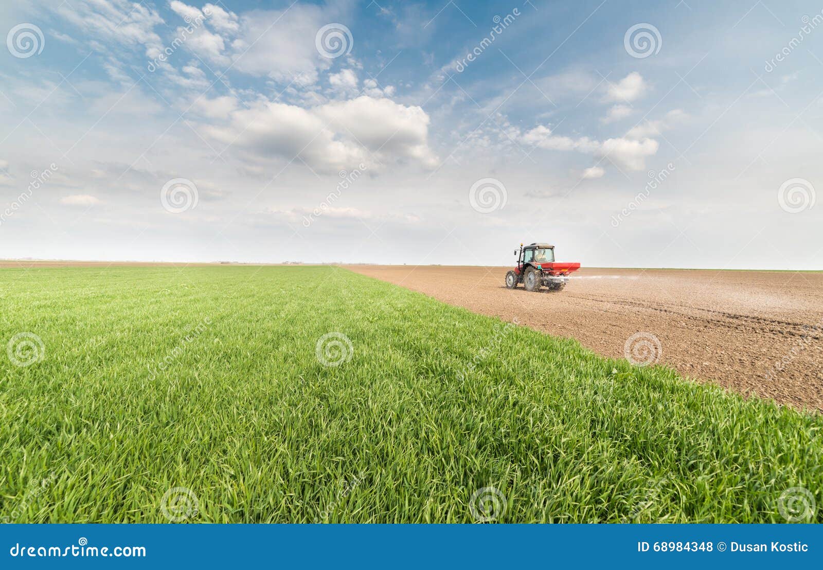 Tractor Fertilizing in Field Stock Photo - Image of spring, wheat: 68984348