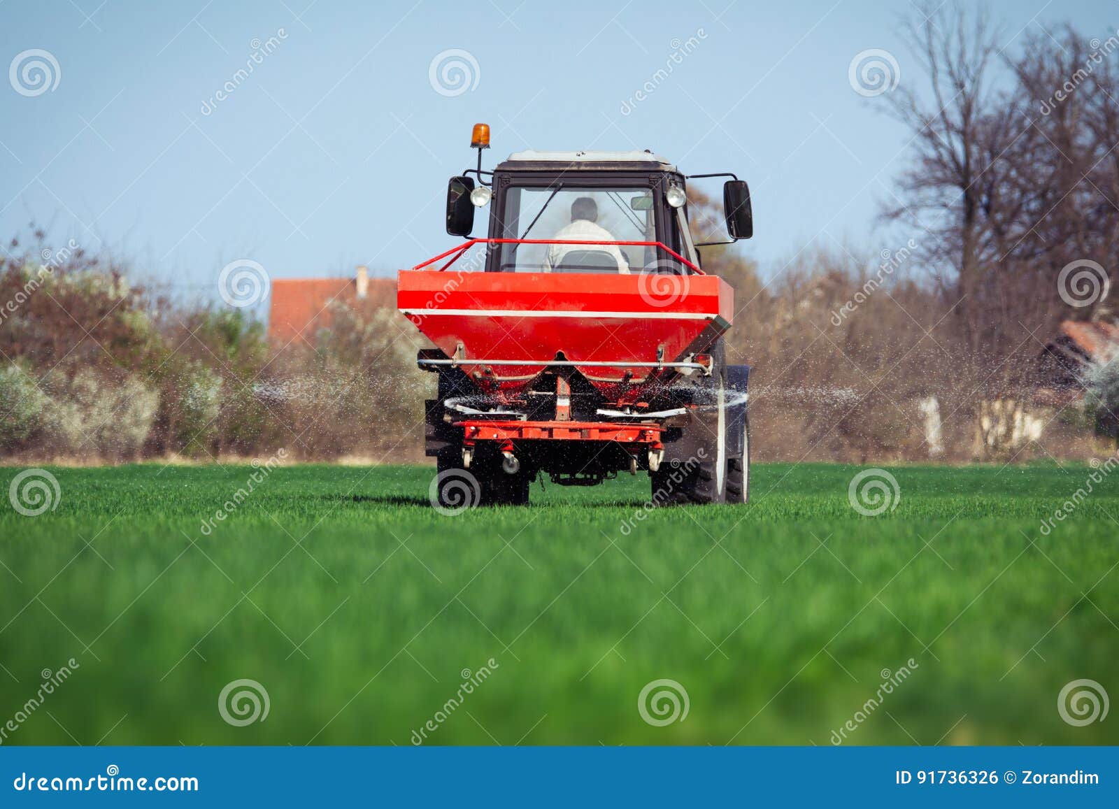 Tractor Fertilizing in Wheat Field Stock Photo - Image of preparation ...