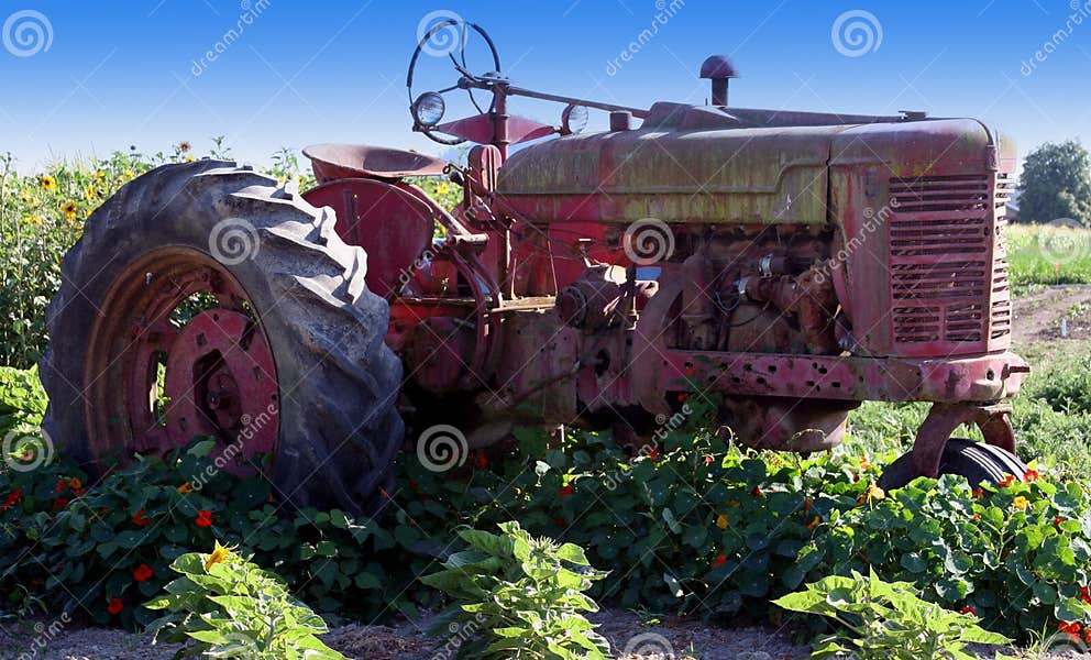 Tractor in field stock photo. Image of tractor, plants - 199164