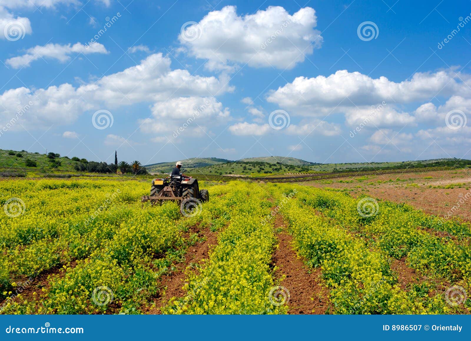 Tractor at field stock image. Image of agricultural, cultivation - 8986507