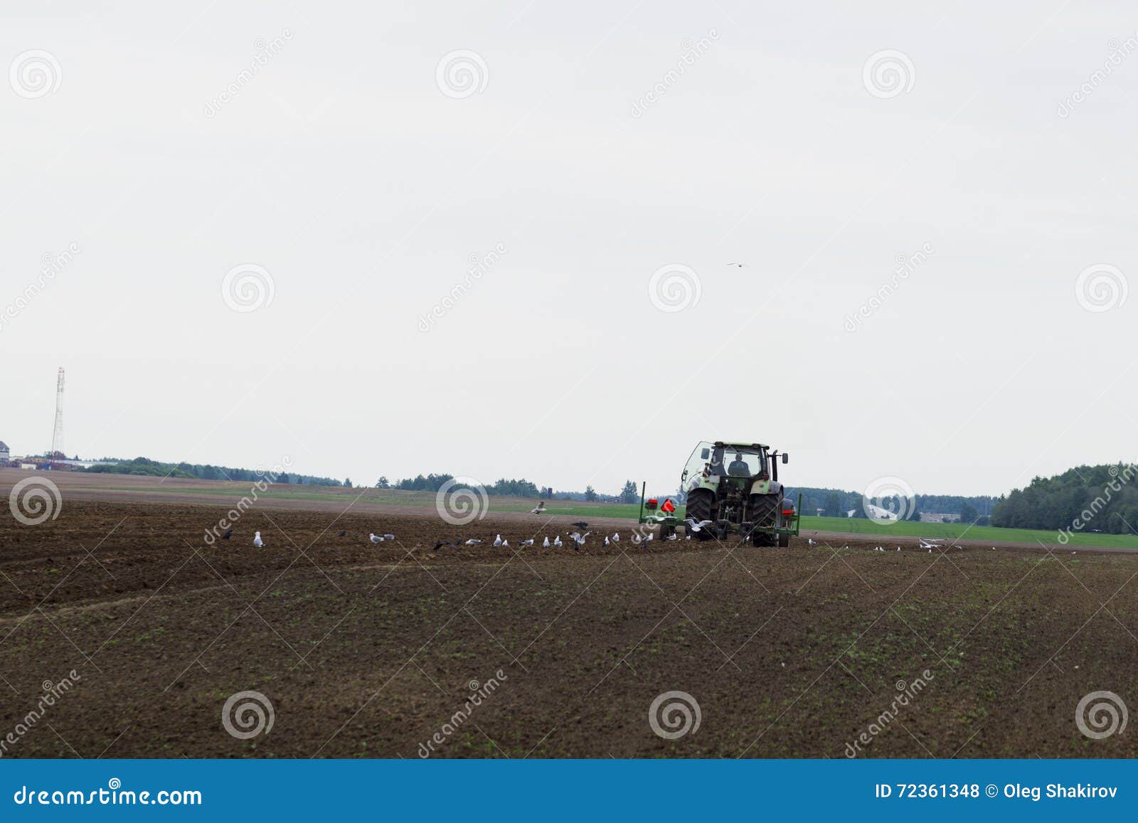 The Tractor in the Field on Agricultural Operations Stock Photo - Image ...