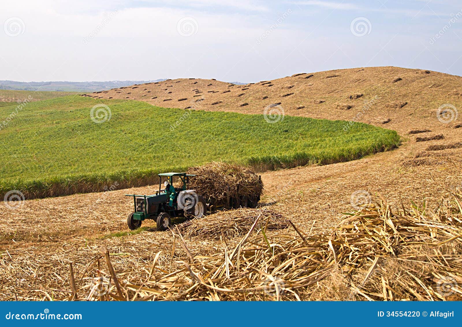 Tractor in a field stock photo. Image of environment - 34554220