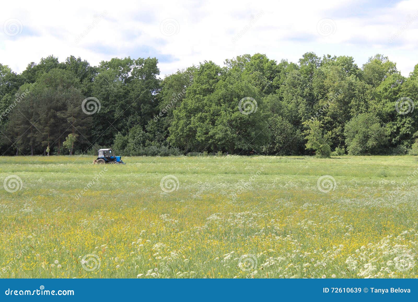 Tractor in a field stock image. Image of bionomics, ecology - 72610639