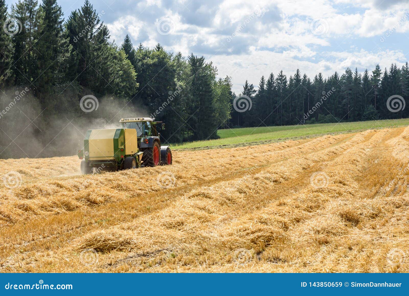 Tractor on Field - Harvesting the Corn Stock Image - Image of corn ...