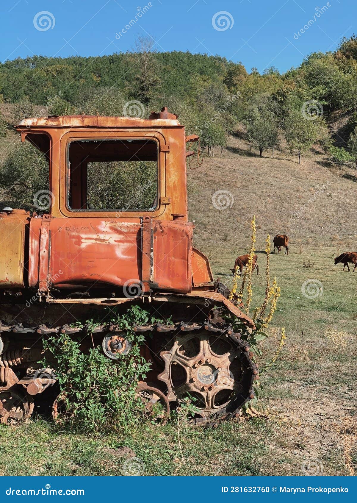 Tractor in the Field in the Mountains Stock Photo - Image of farmland ...