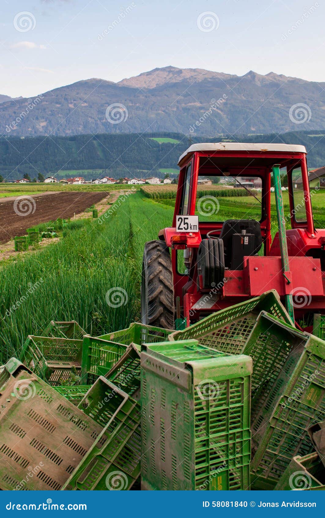 Tractor in the field stock photo. Image of work, massey - 58081840