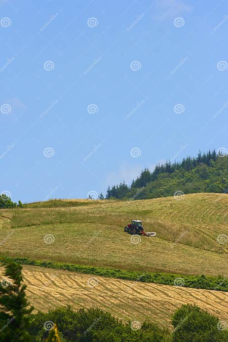Tractor in a Field Over a Hill Stock Image - Image of agriculture, farm ...