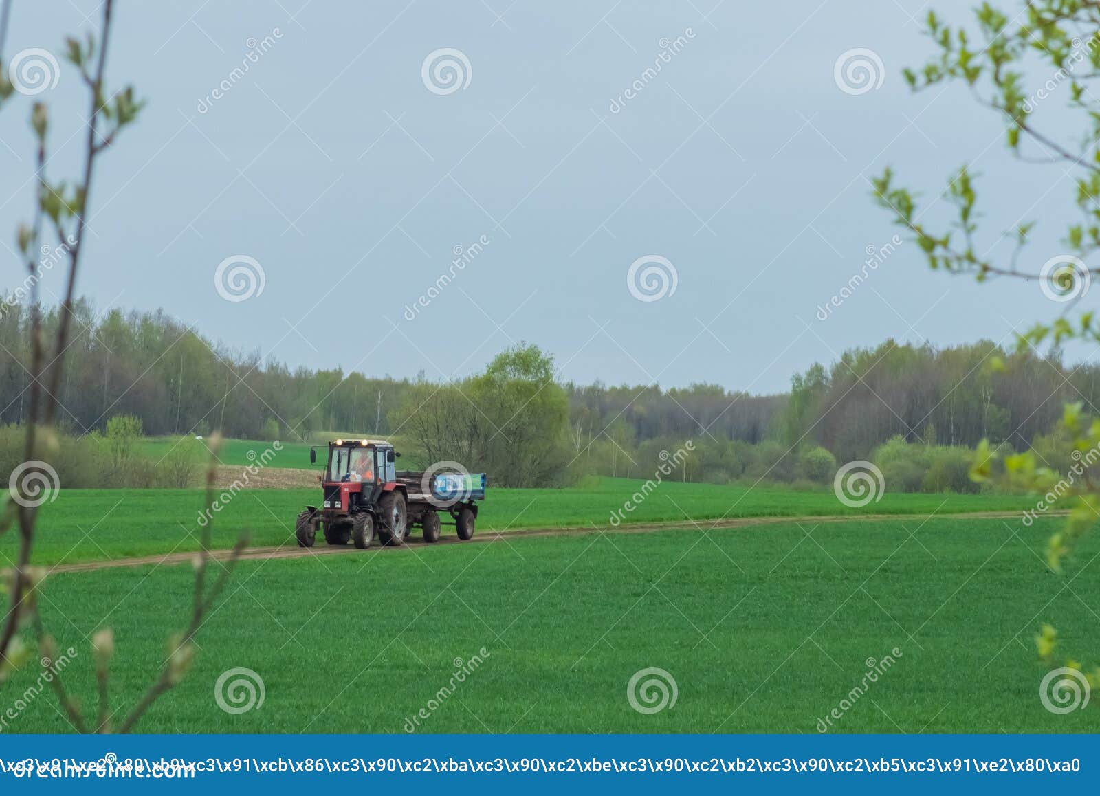 Tractor in the Field, Tractor Rides on a Field Road, Field, Road ...