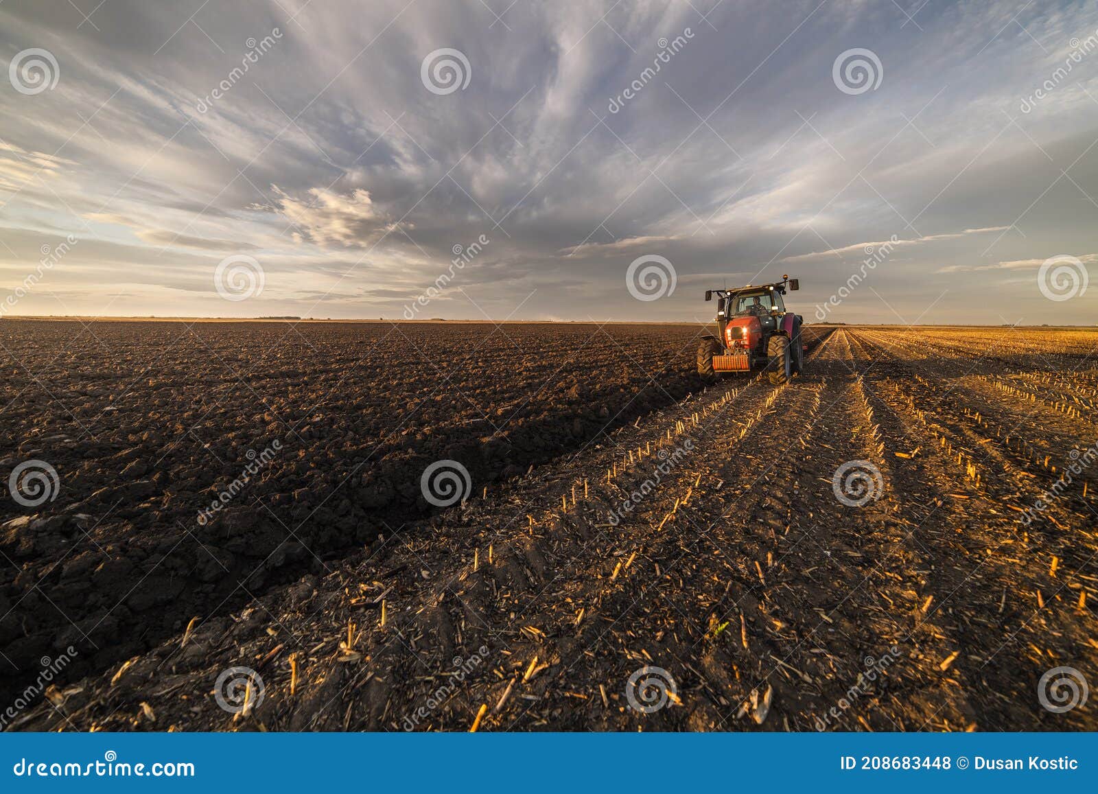 Tractor on the Field during Sunset Stock Photo - Image of dusk, autumn ...