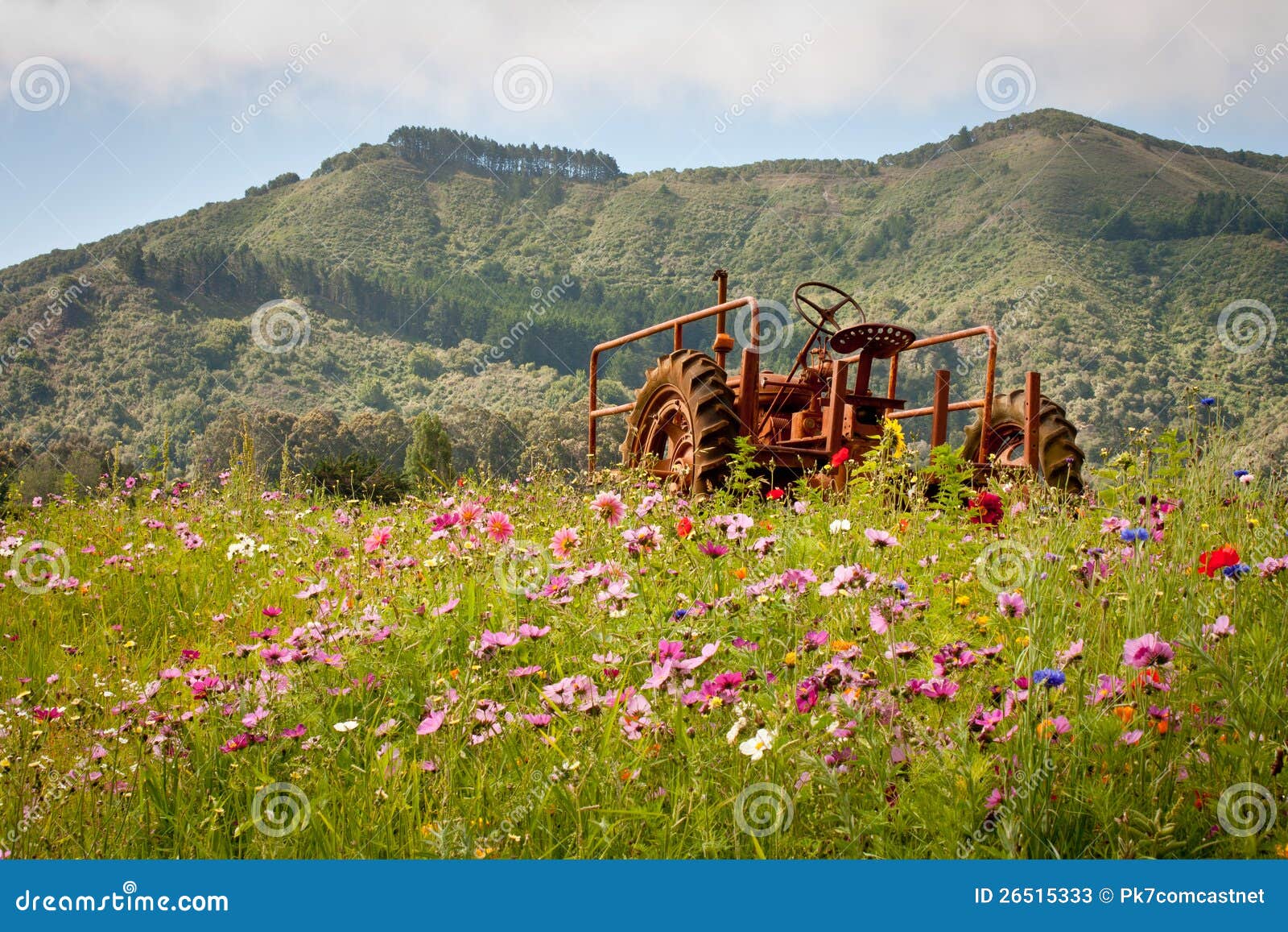 Tractor in Flower Field stock image. Image of rusty, spring - 26515333