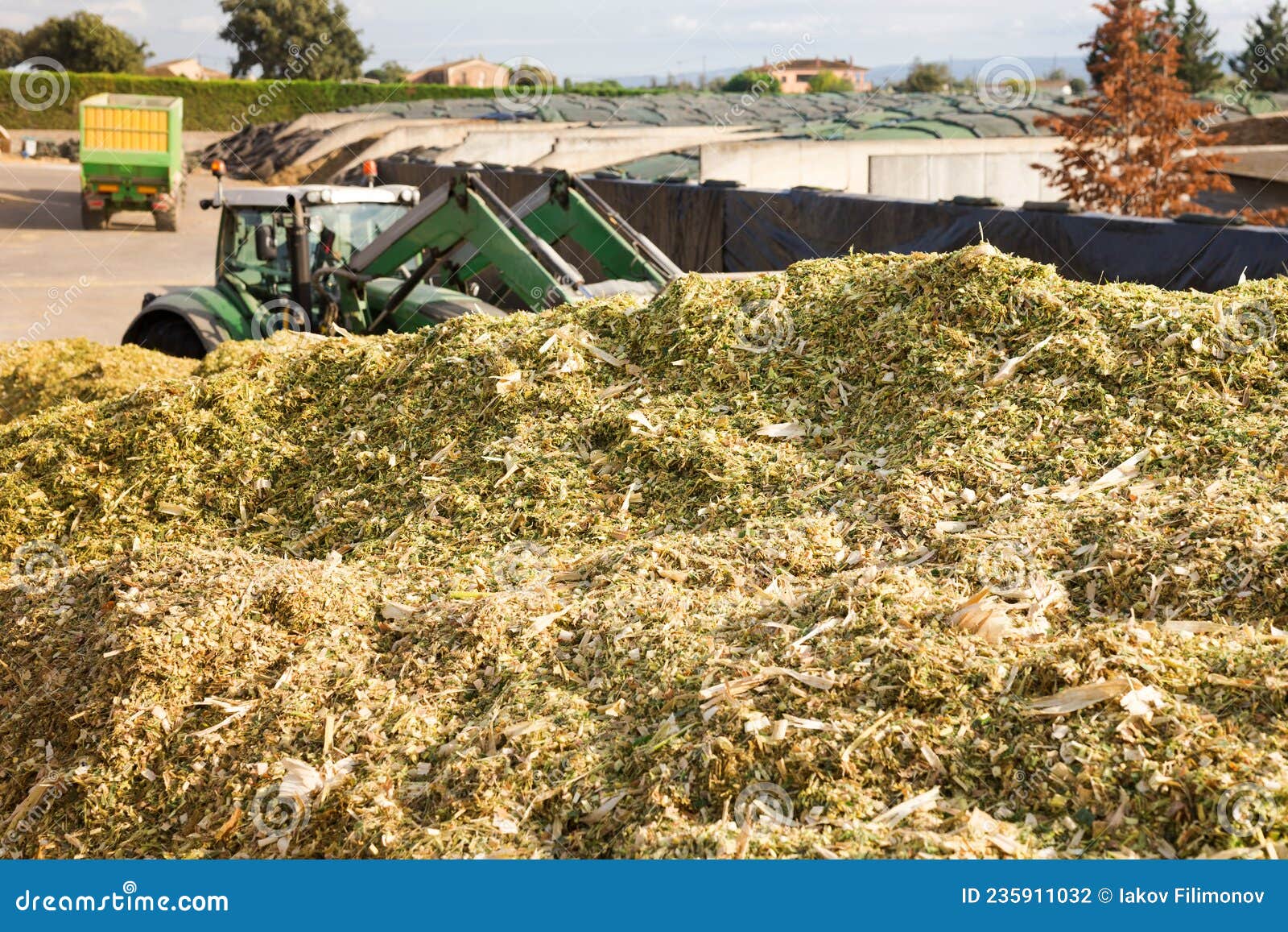 Harvesting of silage editorial photography. Image of farming - 235911032