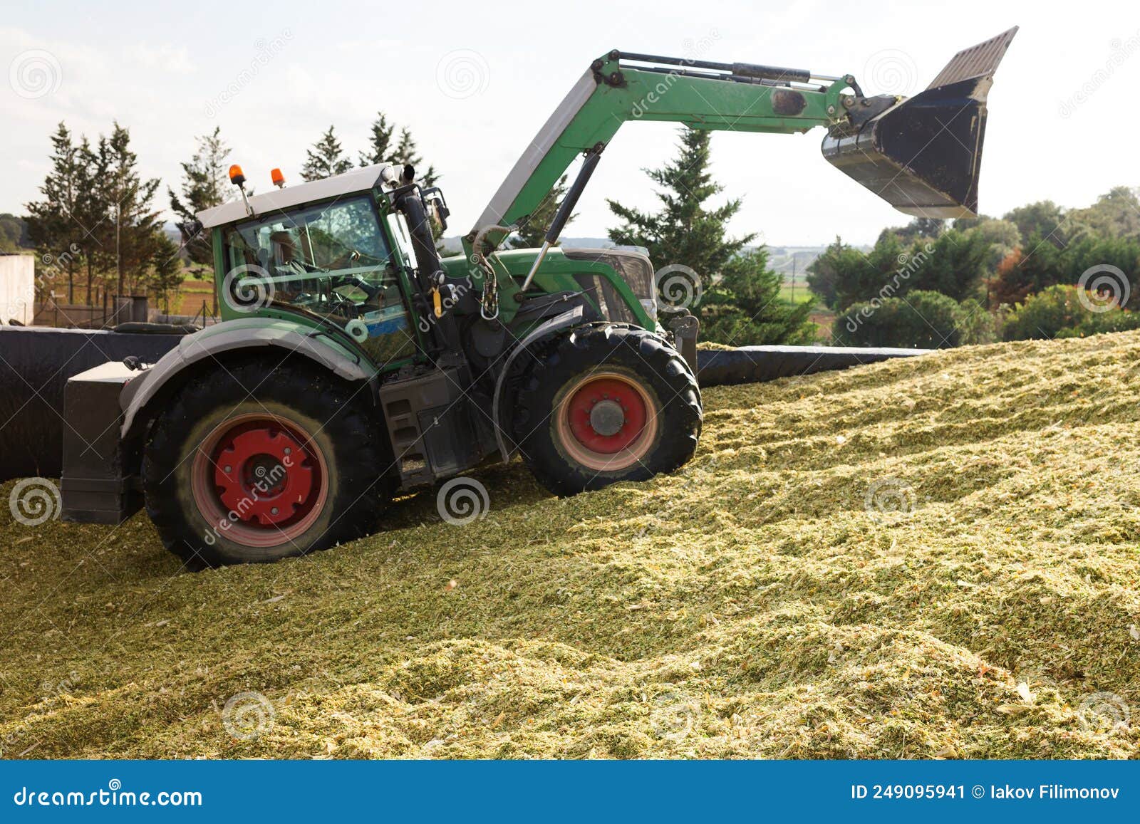 Harvesting of silage stock image. Image of stored, grass - 249095941