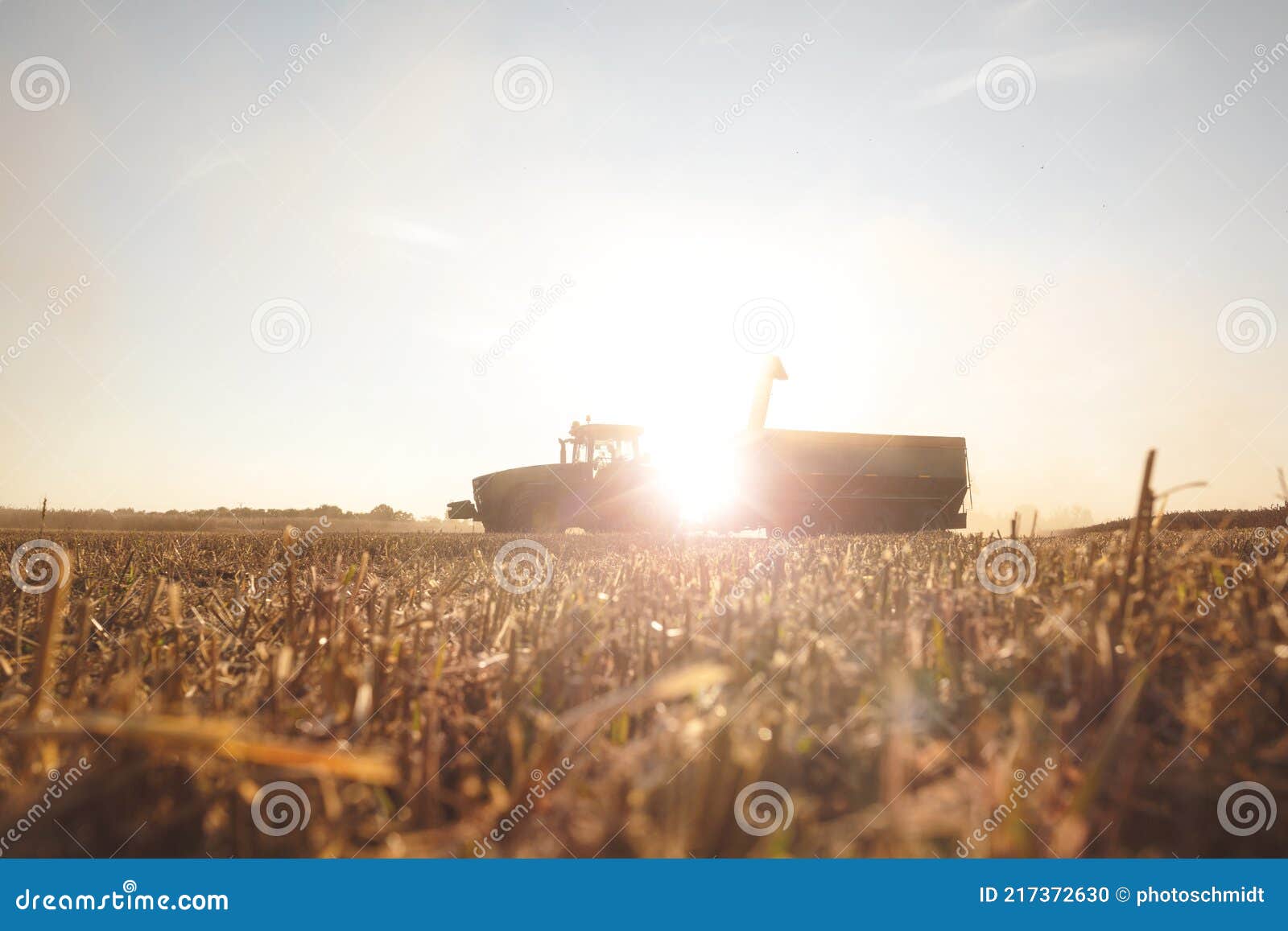 Tractor with a Grain Trailer on a Field during Sunset Stock Photo ...