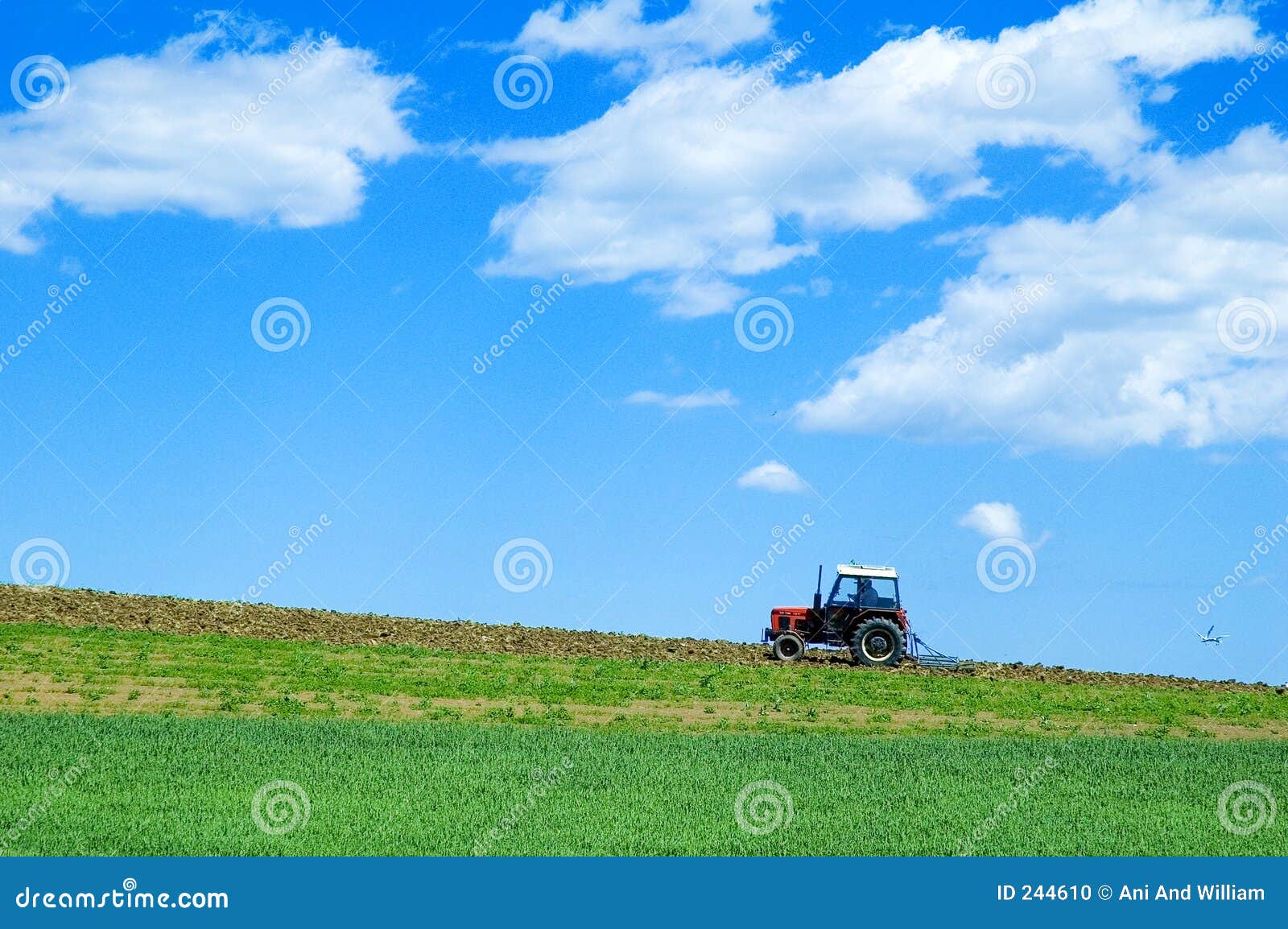 Tractor in green field stock photo. Image of walk, grass - 244610