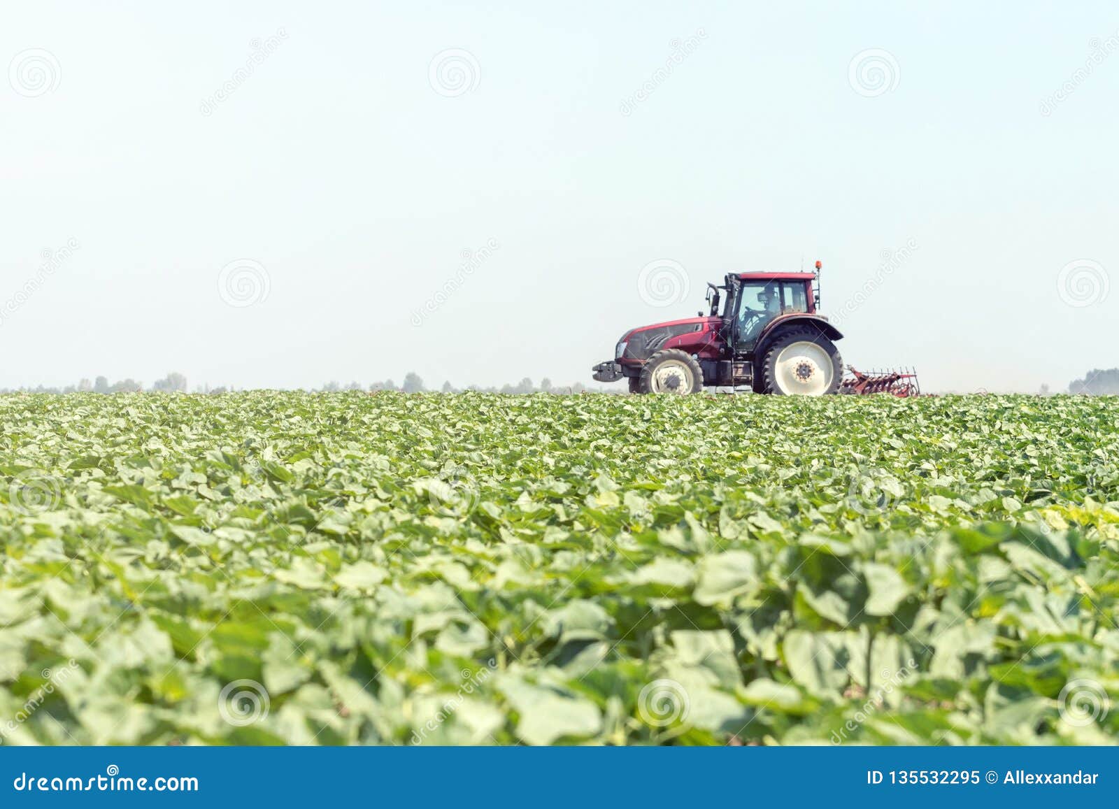 Tractor in the Green Field. Agriculture Machine Stock Image - Image of ...
