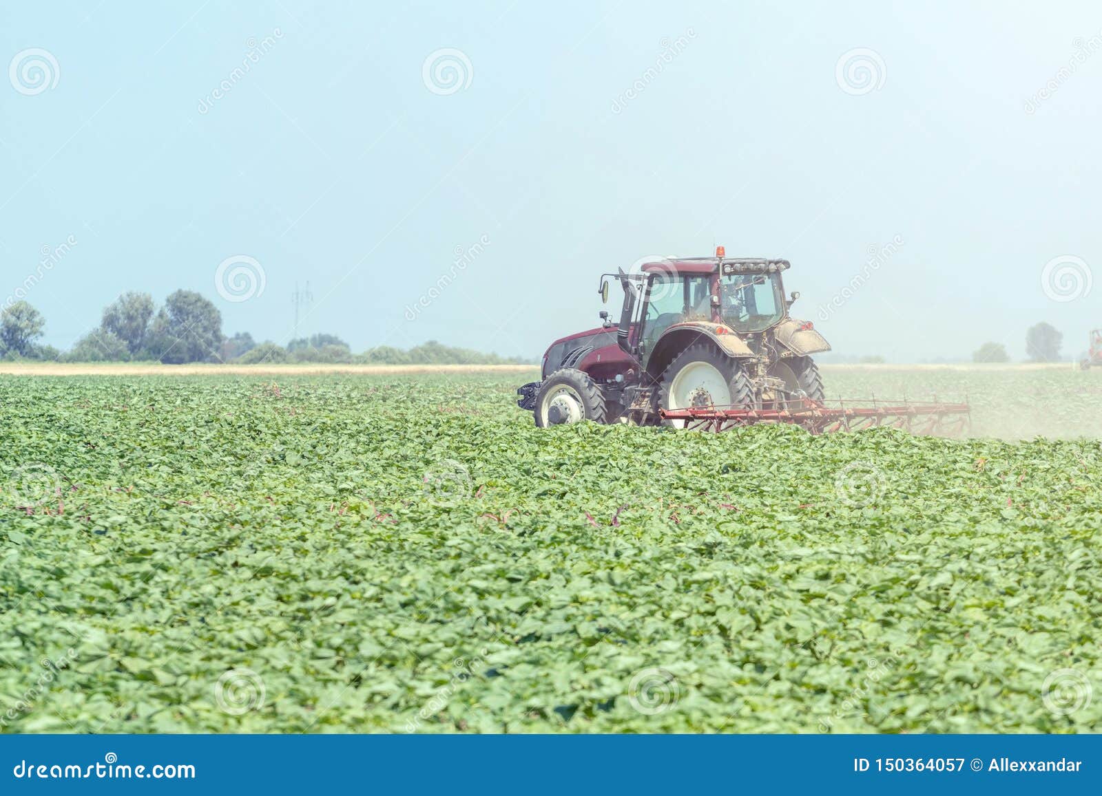 Tractor in the Green Field. Agriculture Machine Stock Image - Image of ...