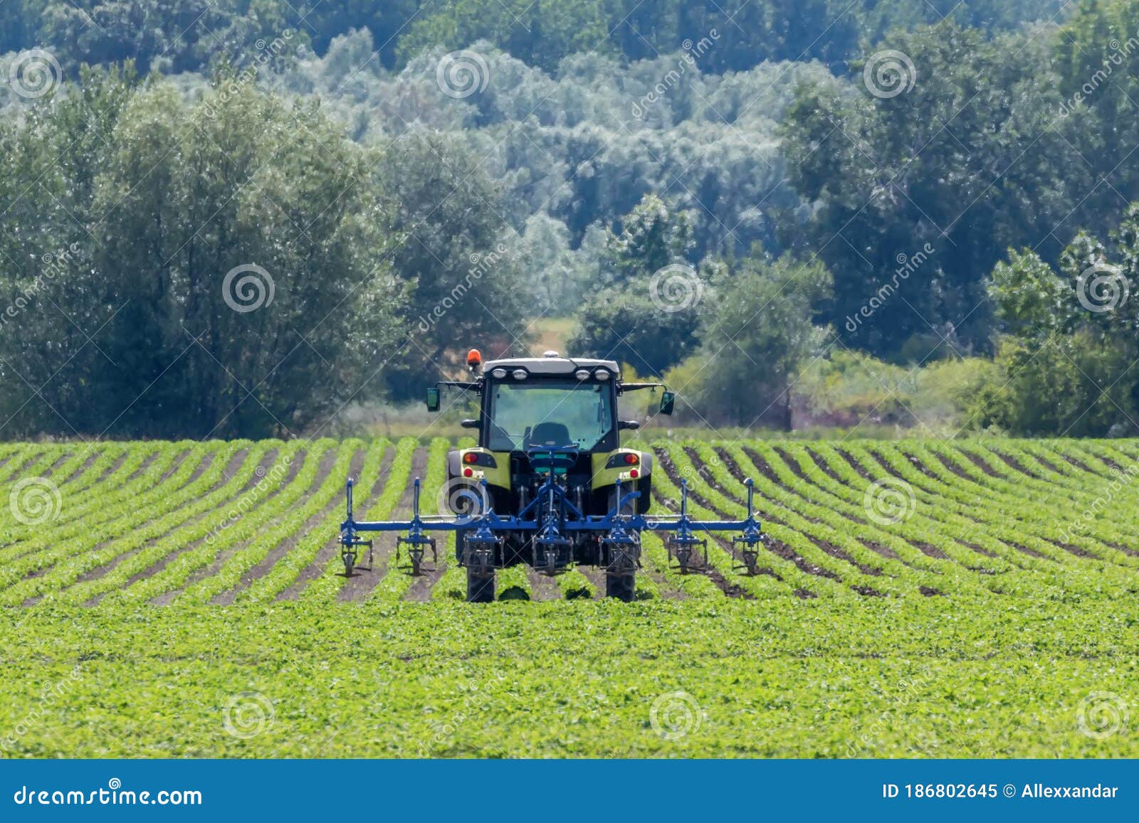 Tractor in the Green Field, Agriculture Machine Stock Image - Image of ...