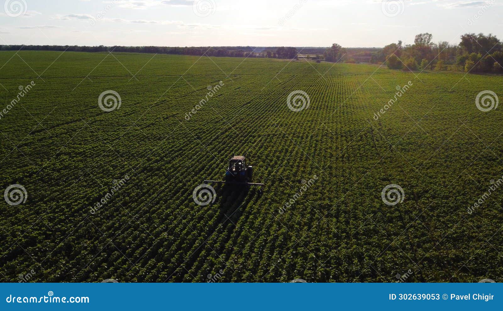 Tractor in a Green Field at Sunset Stock Image - Image of crop, soil ...