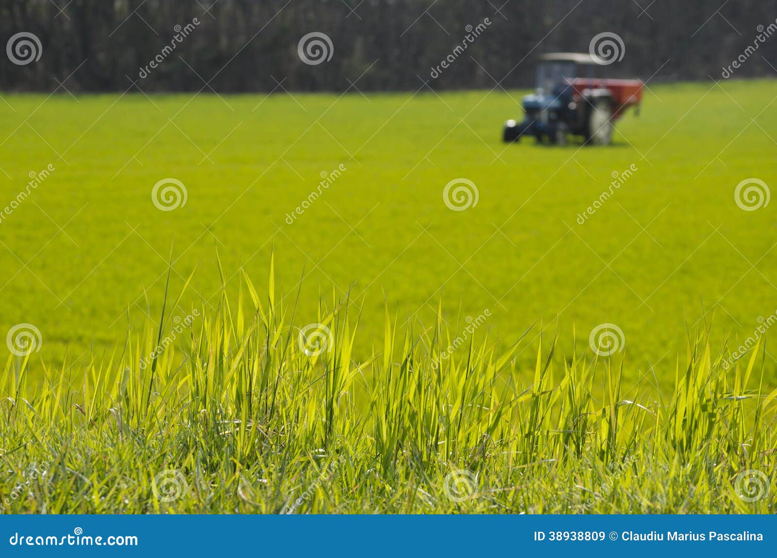 Tractor in a green field stock image. Image of machine - 38938809