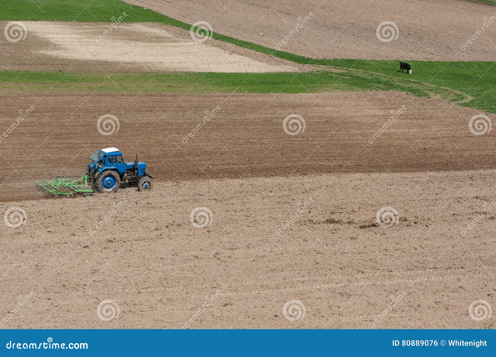 Tractor Harrowed Field stock photo. Image of field, ploughing - 80889076