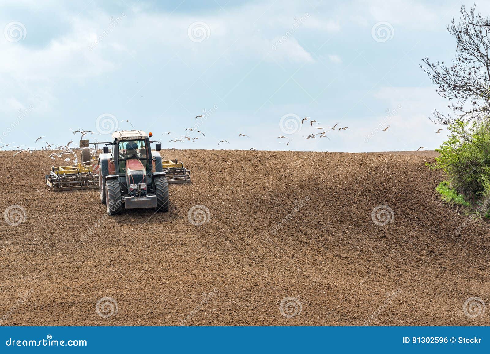Tractor Harrowing the Field Stock Photo - Image of dust, cultivation ...