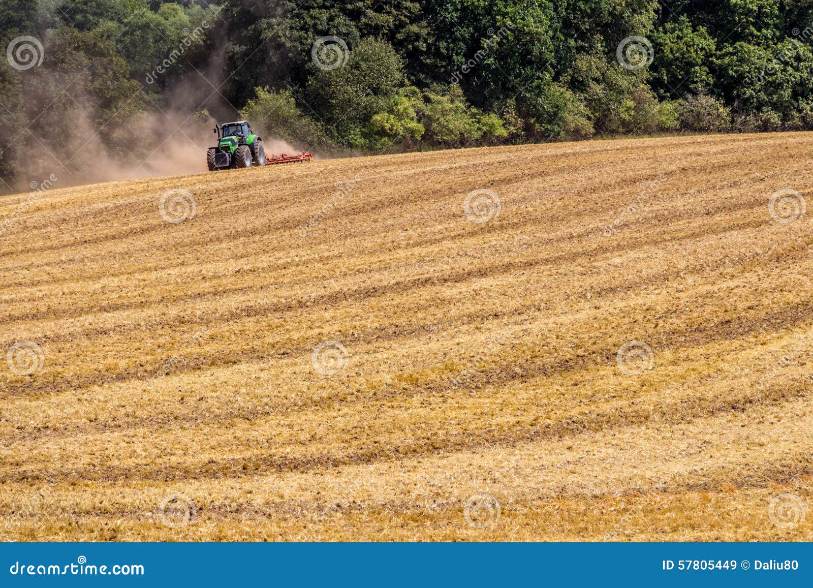Tractor Harvester Working in Wheat Field in Summer Time Stock Image ...