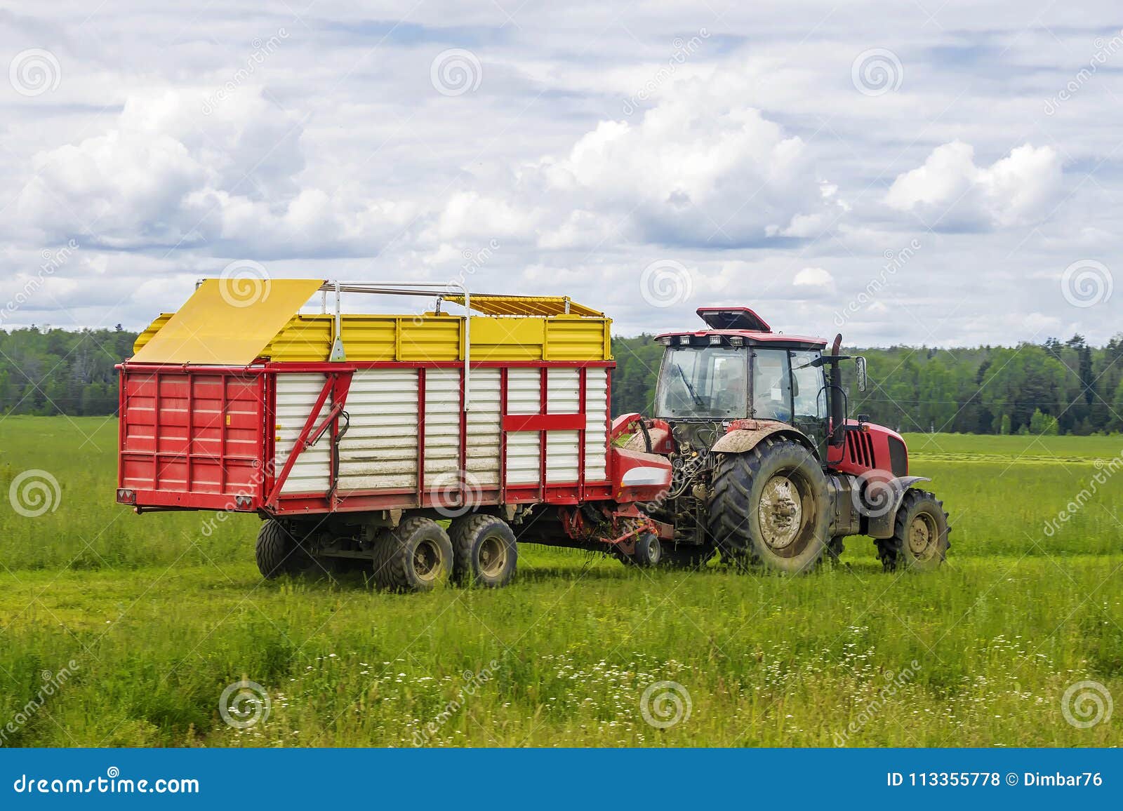 Tractor for Harvesting with a Silage Cart Stock Photo - Image of forage ...