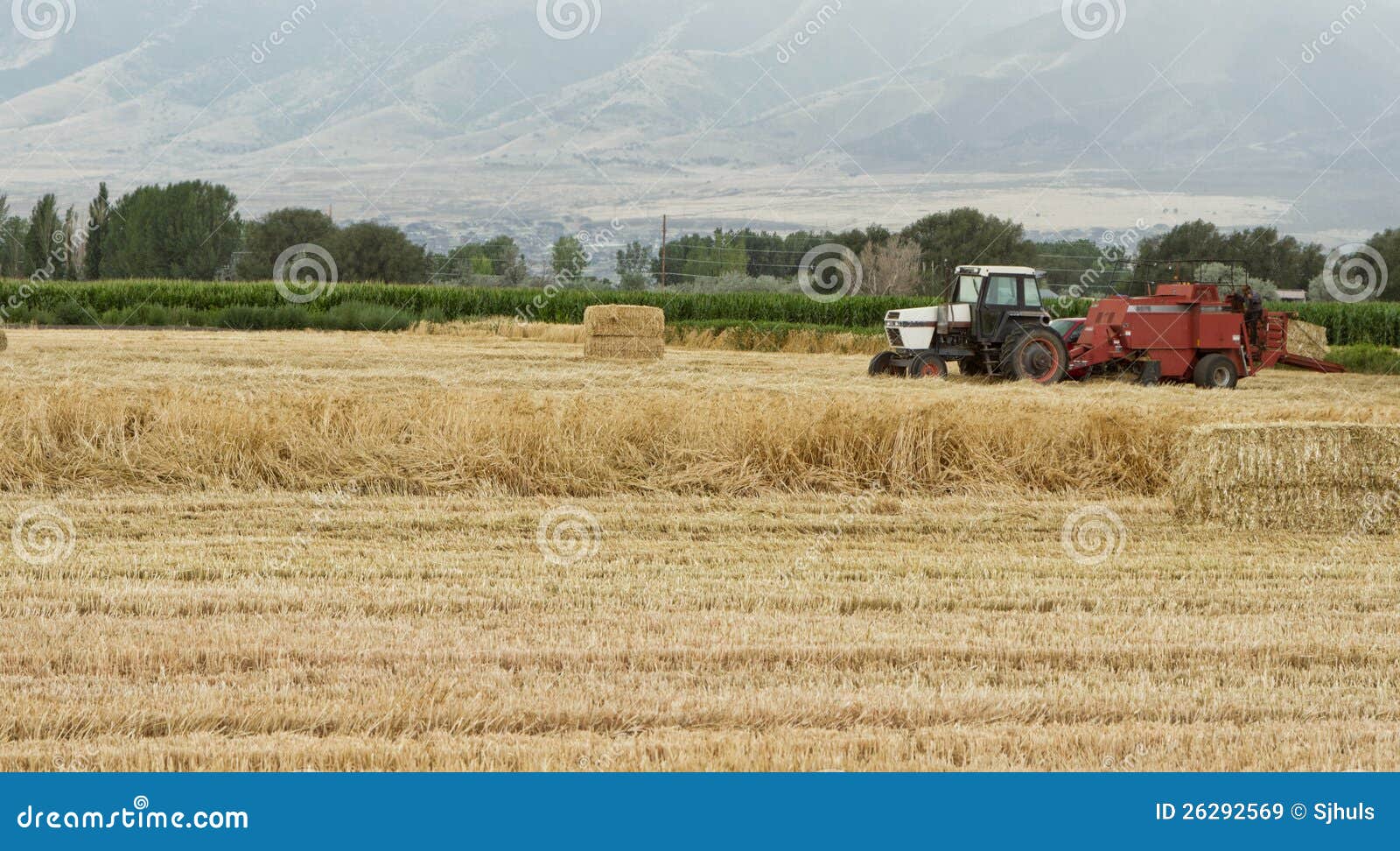 A tractor harvesting wheat stock image. Image of care - 26292569