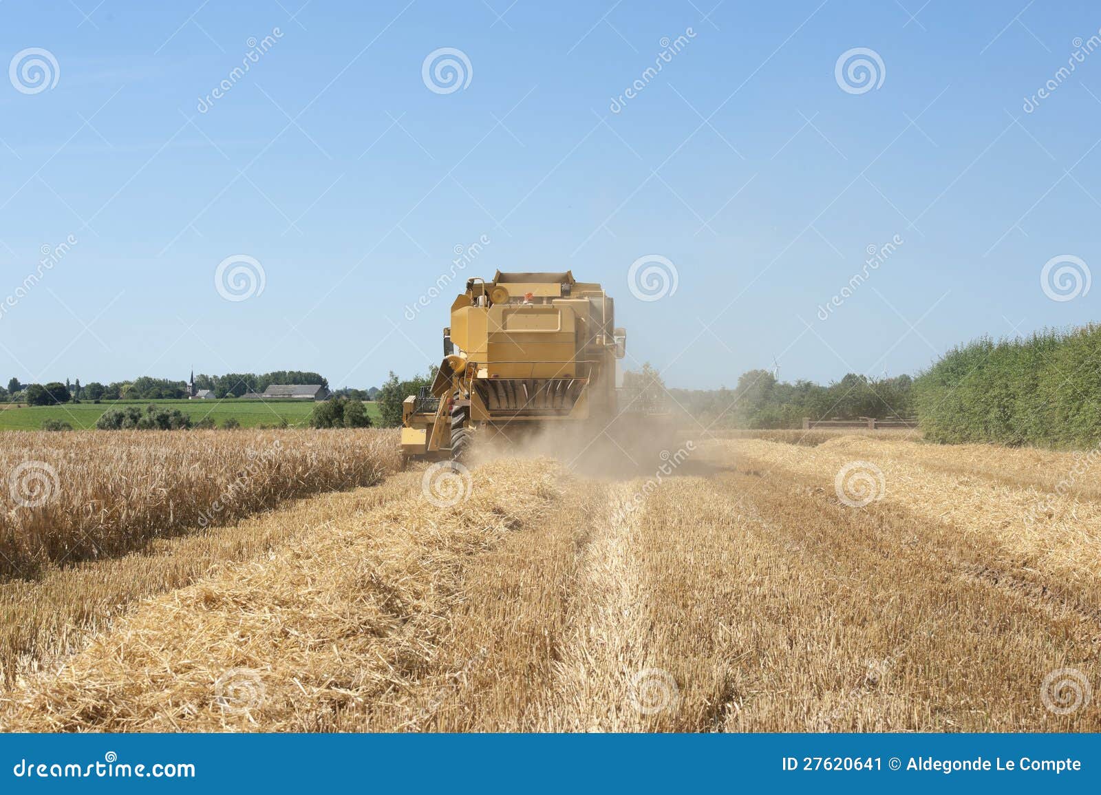 Tractor harvesting wheat stock image. Image of straw - 27620641