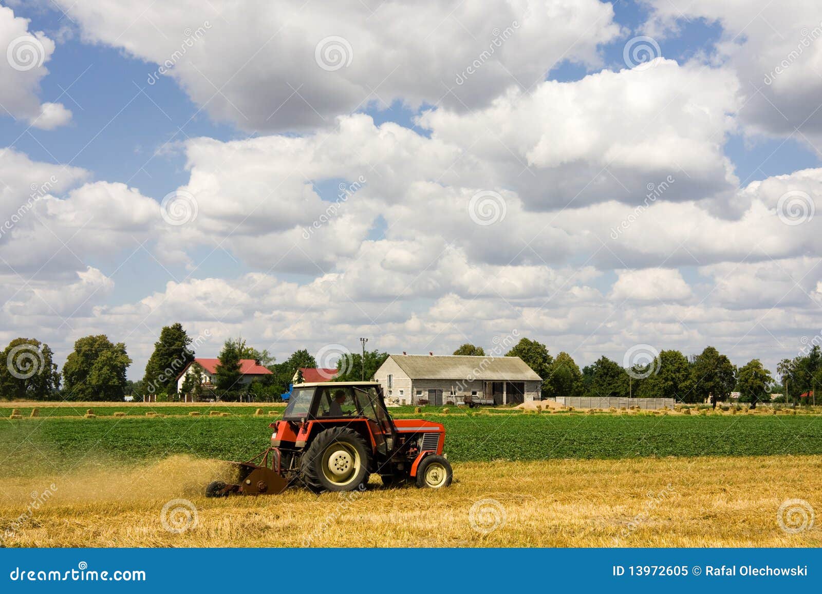 Tractor Harvesting Wheat Field Stock Image - Image of outdoor ...