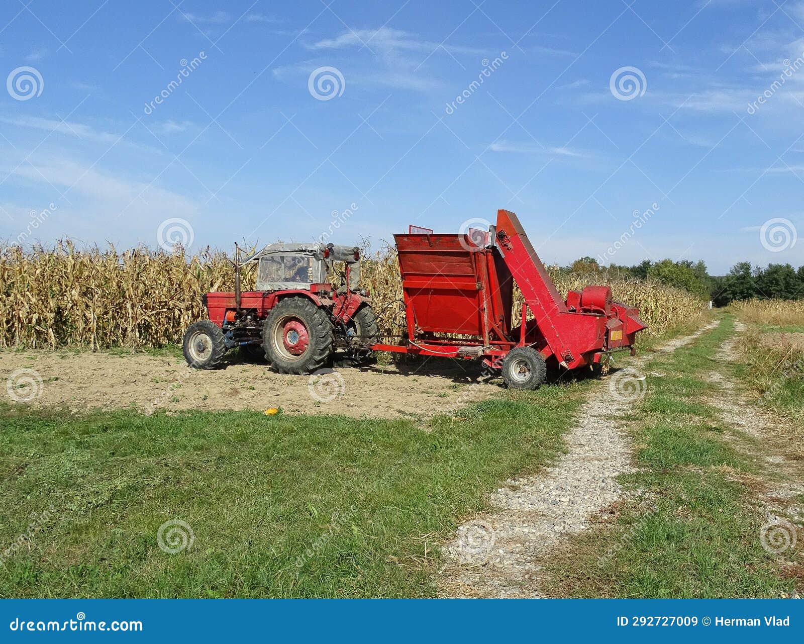 A Tractor Harvests Corn from the Field. in Maramures County, Romania ...