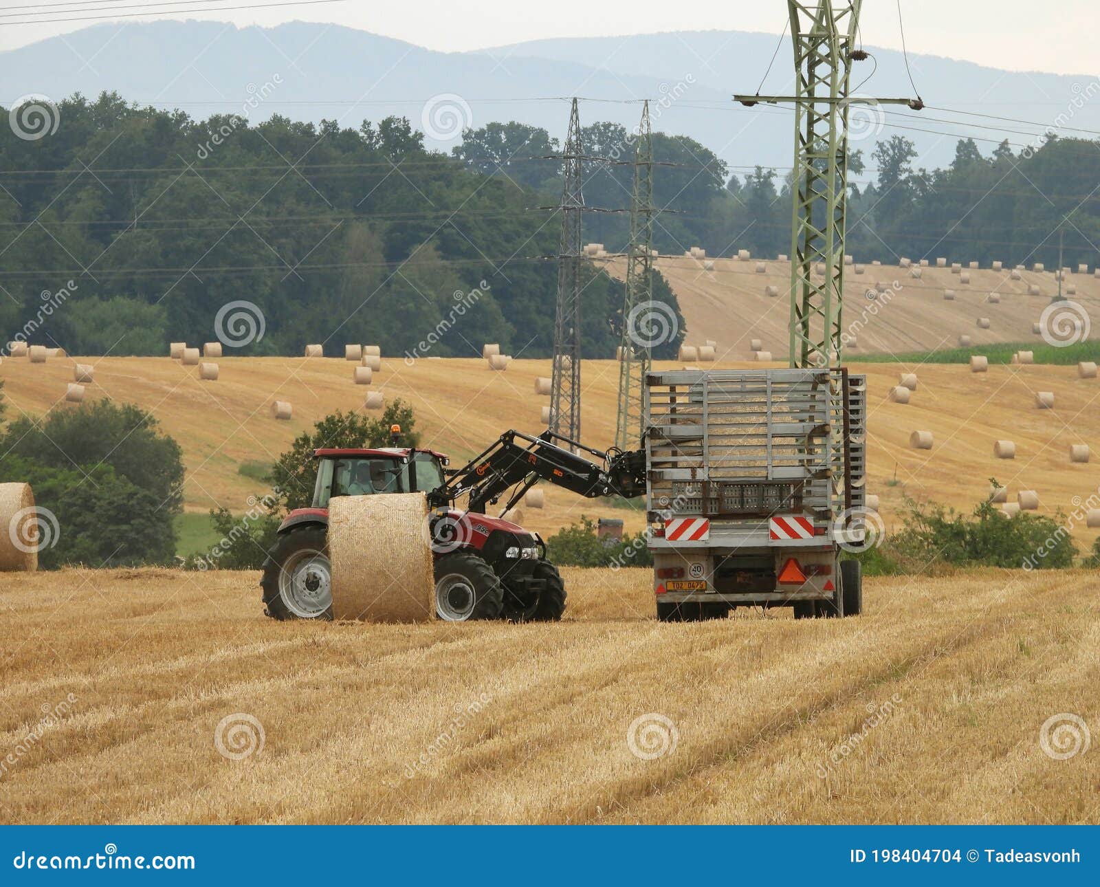 Straw Harvest in the Countryside 2 Editorial Stock Image - Image of ...