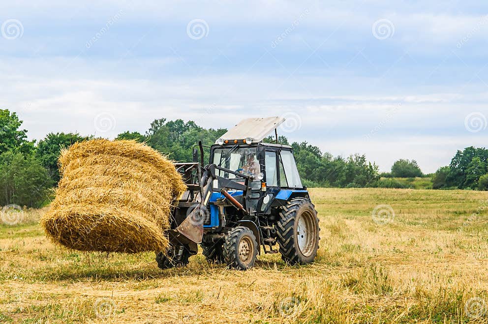Tractor with a hay stock photo. Image of machinery, crop - 26030698