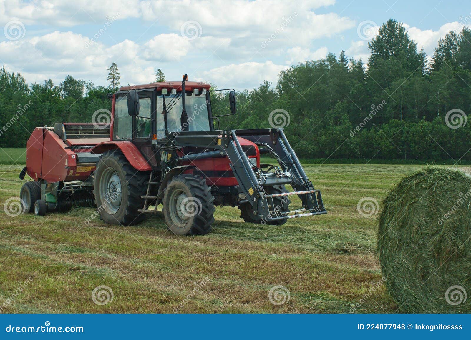 Tractor Making Hay Bales for Livestock during Field Work on a Farm ...