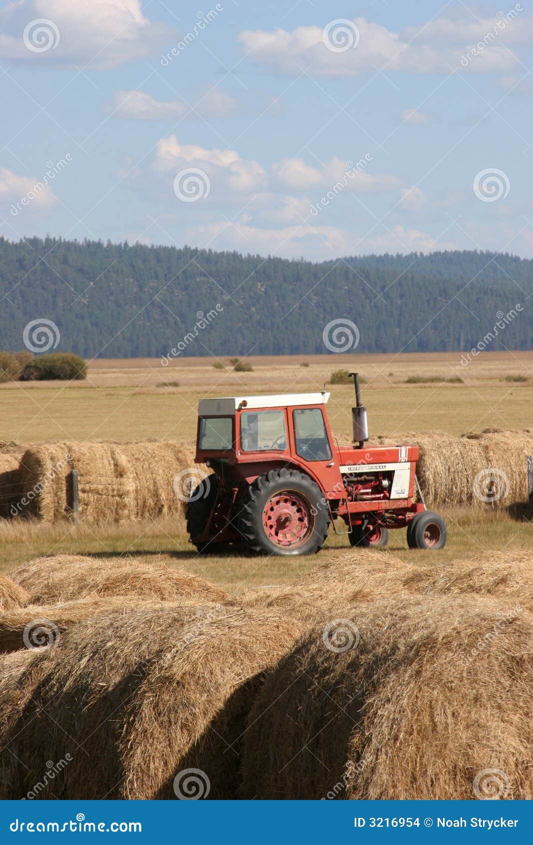 Tractor and Hay Harvest stock photo. Image of oregon, farmer - 3216954