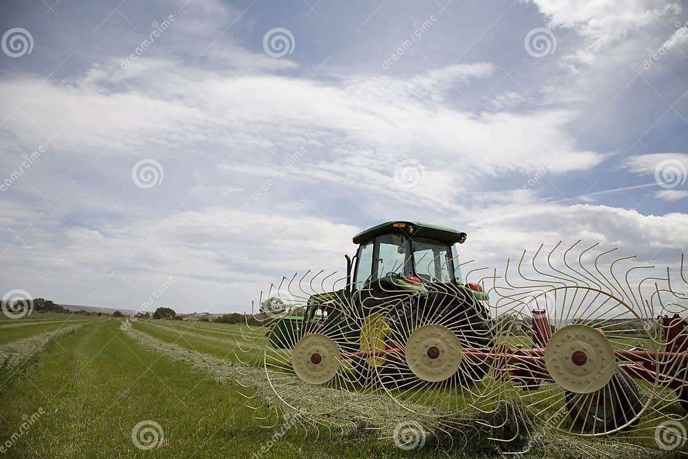 Tractor with hay rake editorial photo. Image of farming - 10401651
