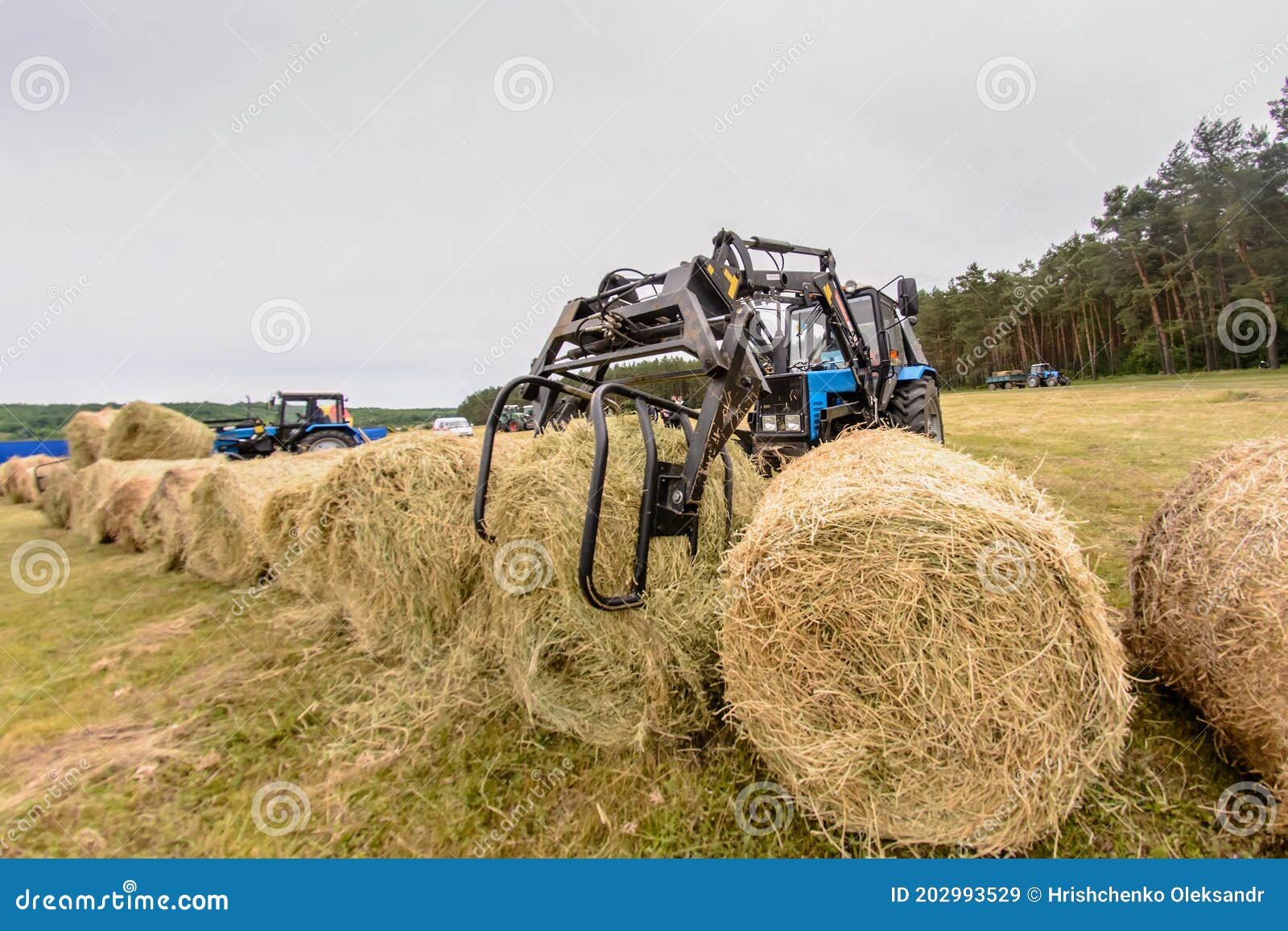 Tractor Hay Stacks in the Field. Toning Stock Image - Image of blue ...