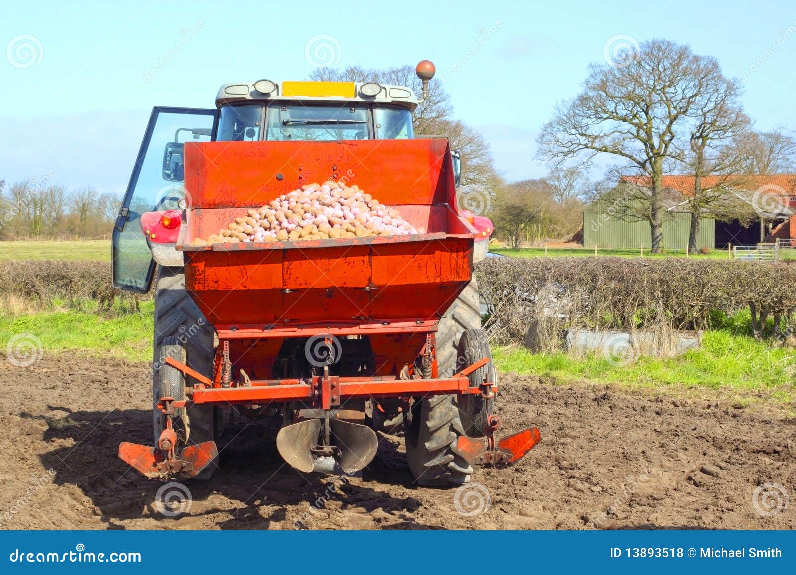Tractor Hopper with Potatoes Stock Photo - Image of farming, green ...