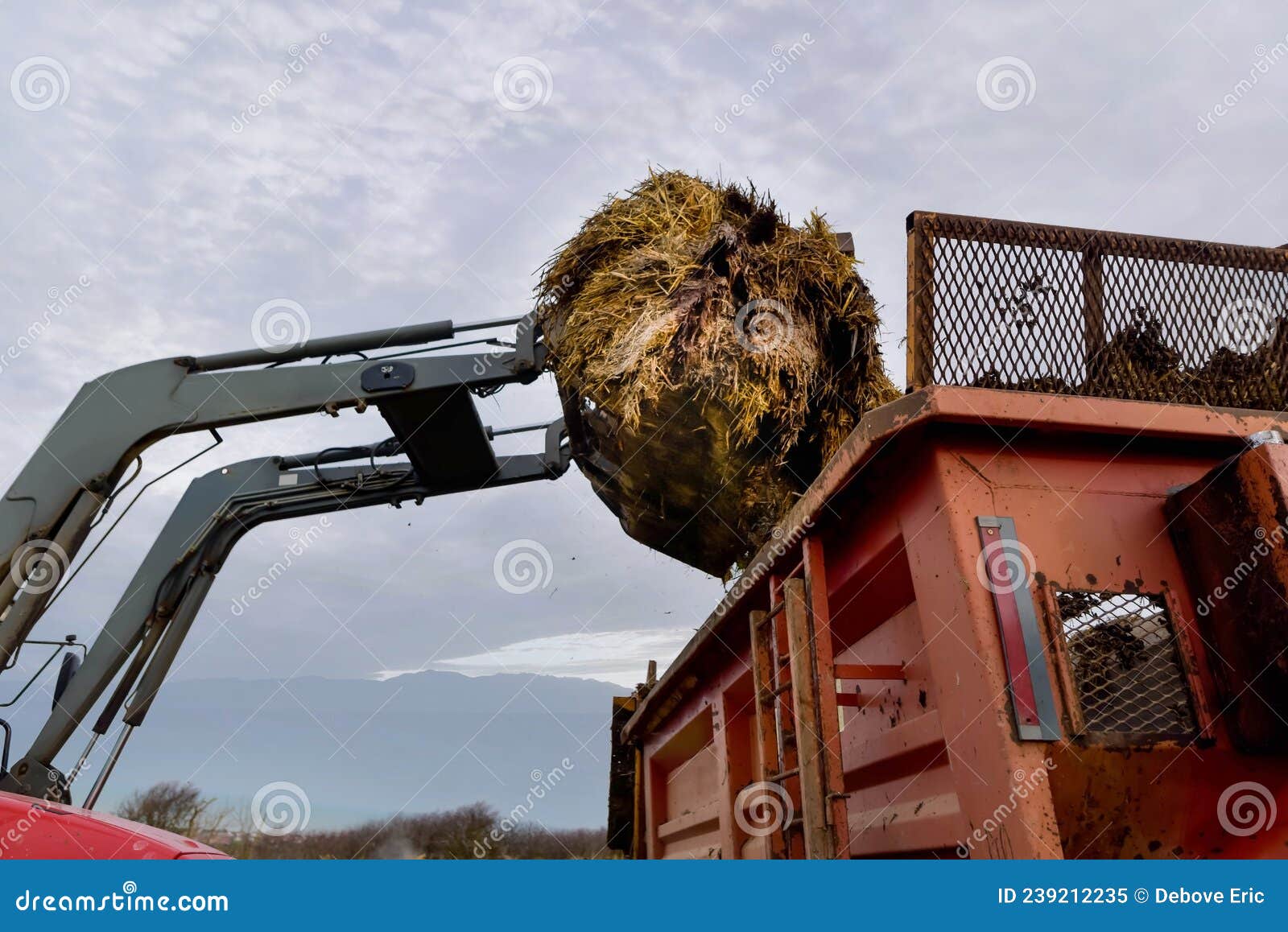 Tractor and Its Telescopic Fork Handling Manure for Spreading in the ...