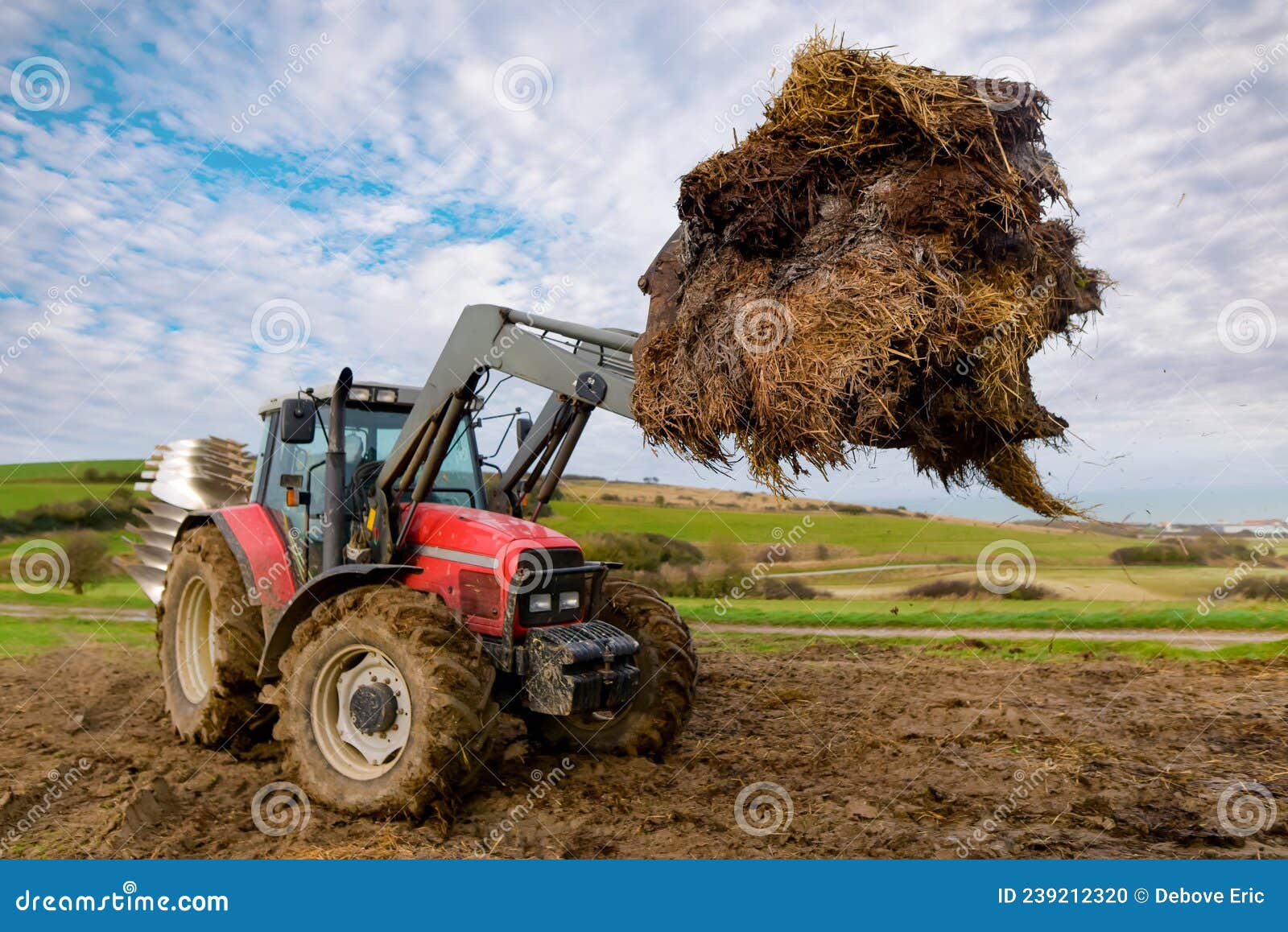 Tractor and Its Telescopic Fork Handling Manure for Spreading in the ...