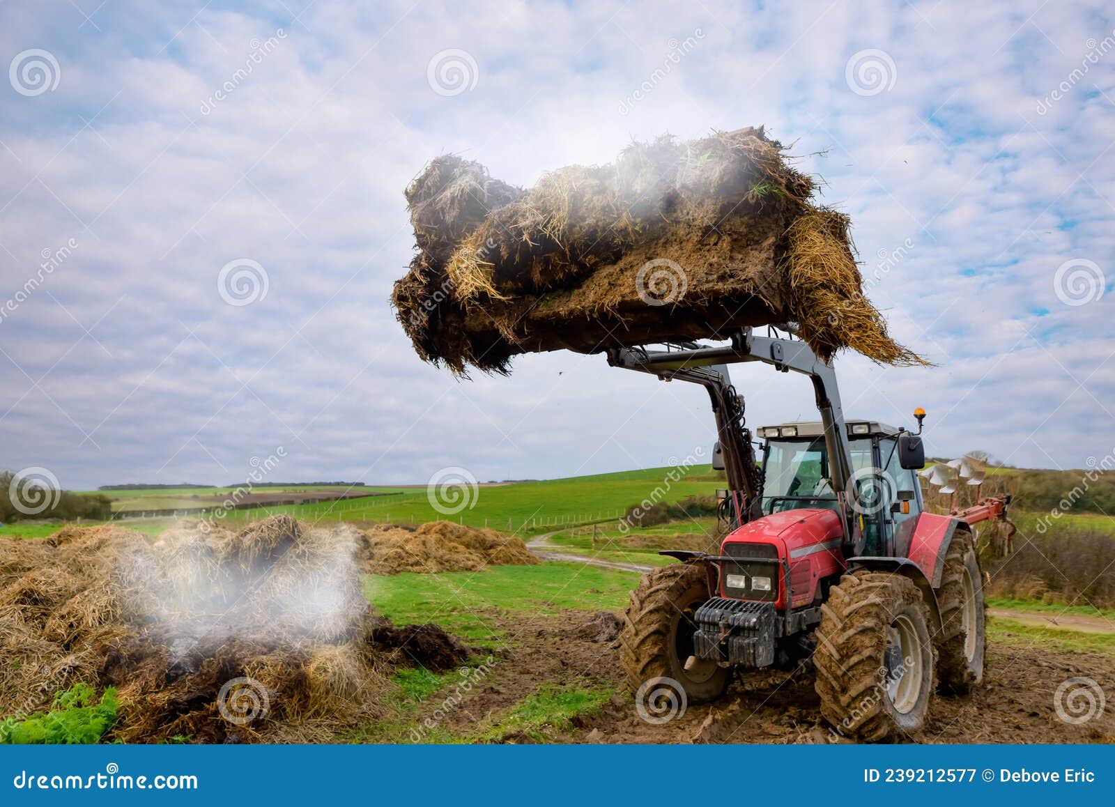 Tractor and Its Telescopic Fork Handling Manure for Spreading in the ...