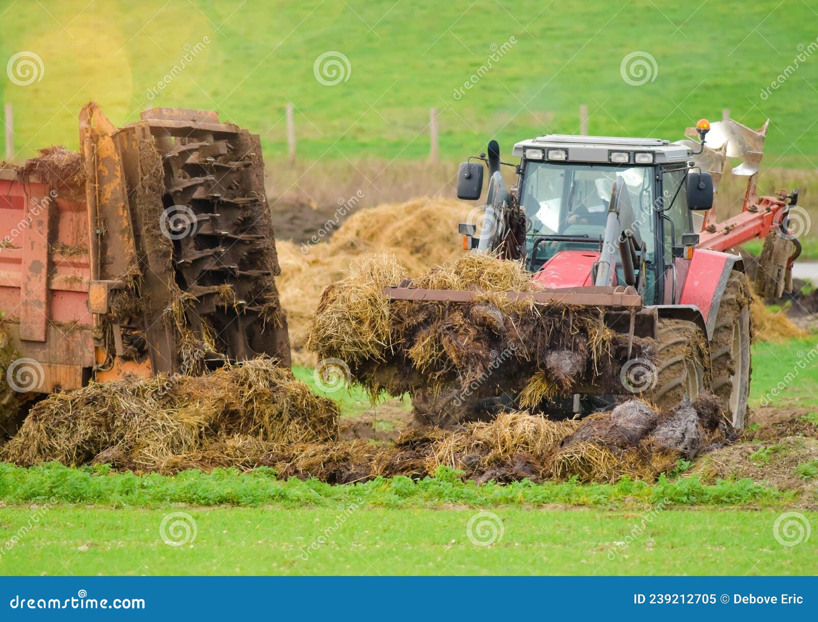 Tractor and Its Telescopic Fork Handling Manure for Spreading in the ...