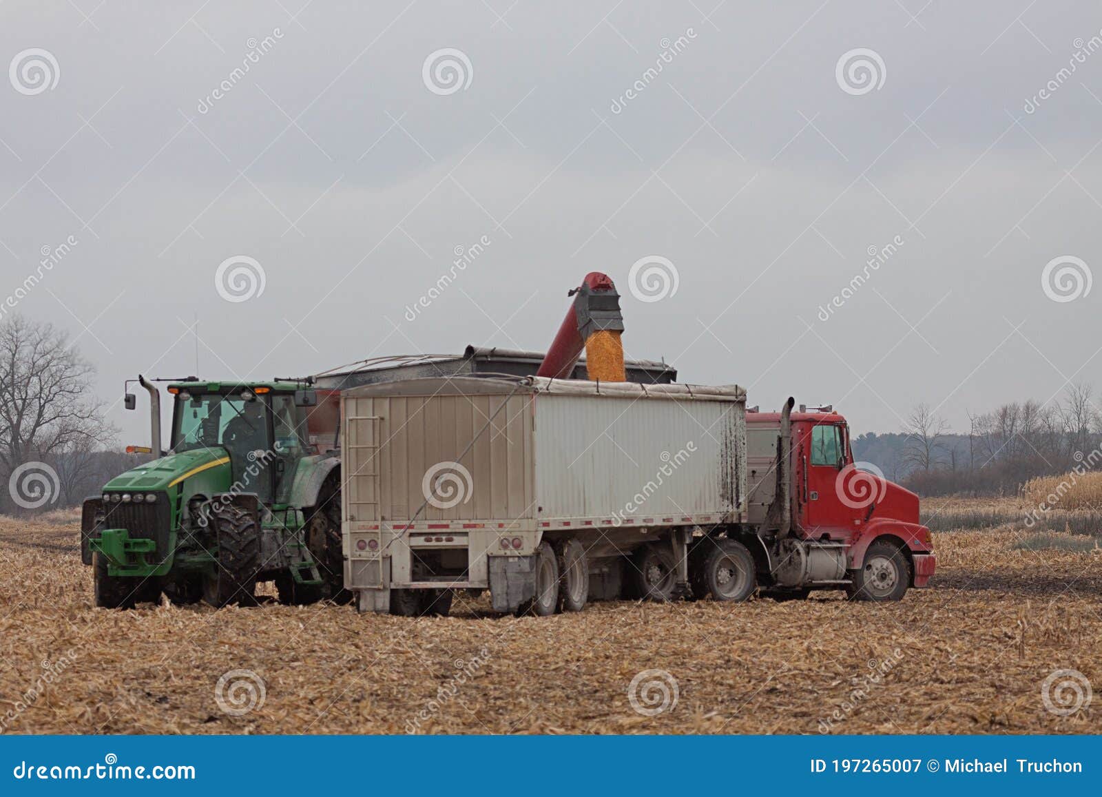 Tractor Load Corn in Trailer Stock Image - Image of corn, gray: 197265007