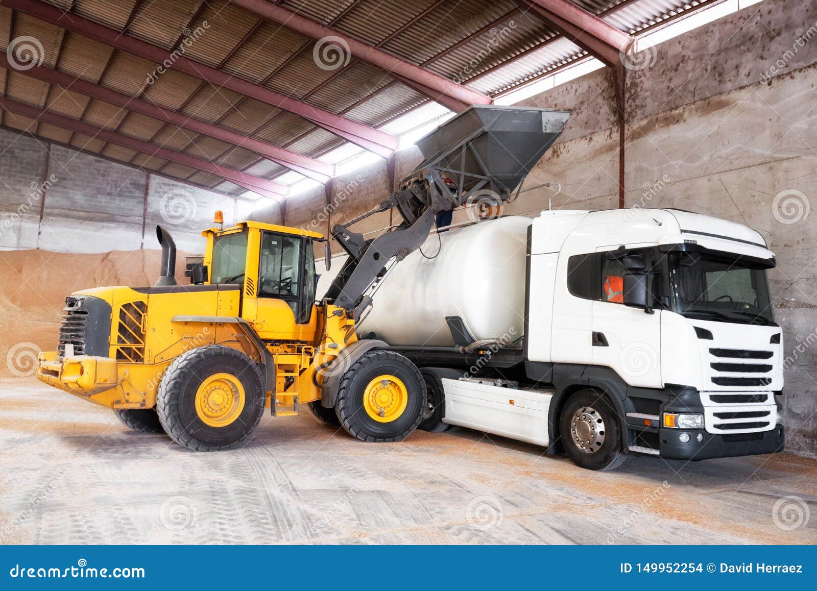 Tractor Loading Grain into Truck at at Grain Processing Plant Warehouse ...
