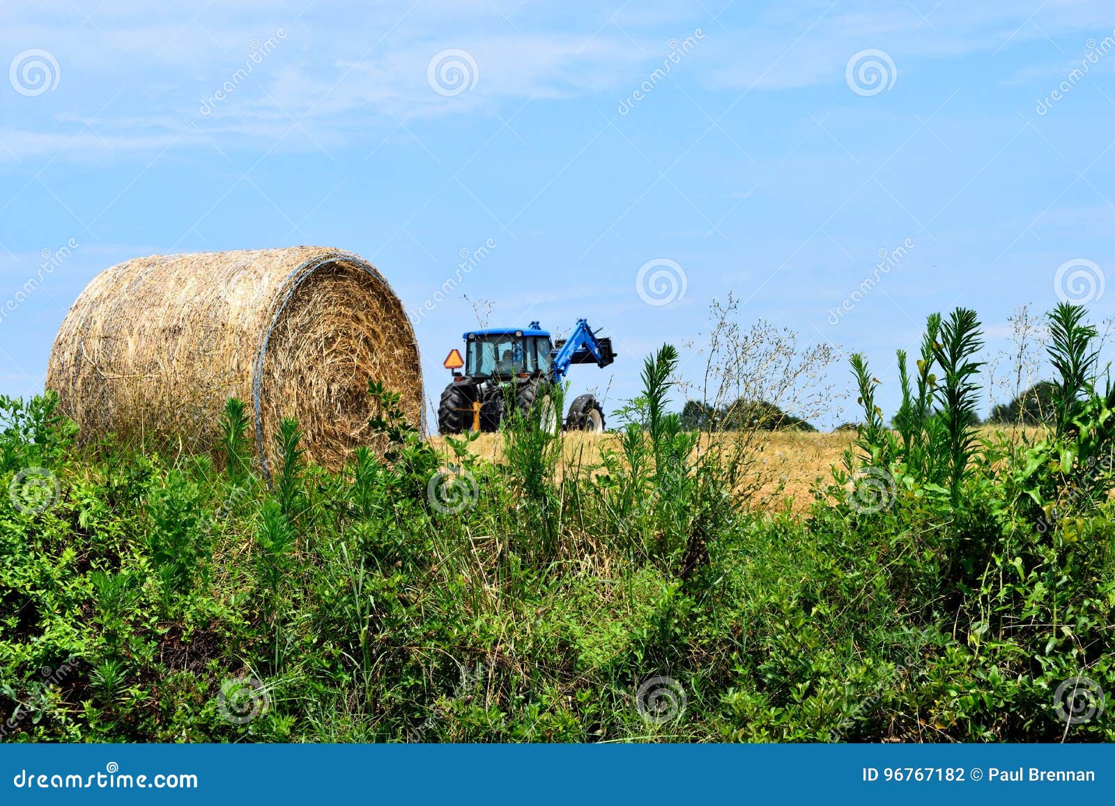 Tractor loading hay bales stock photo. Image of farming - 96767182