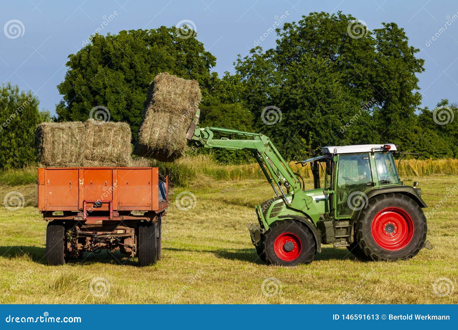 Tractor Loading Hay Bales on a Trailer Stock Image - Image of nature ...