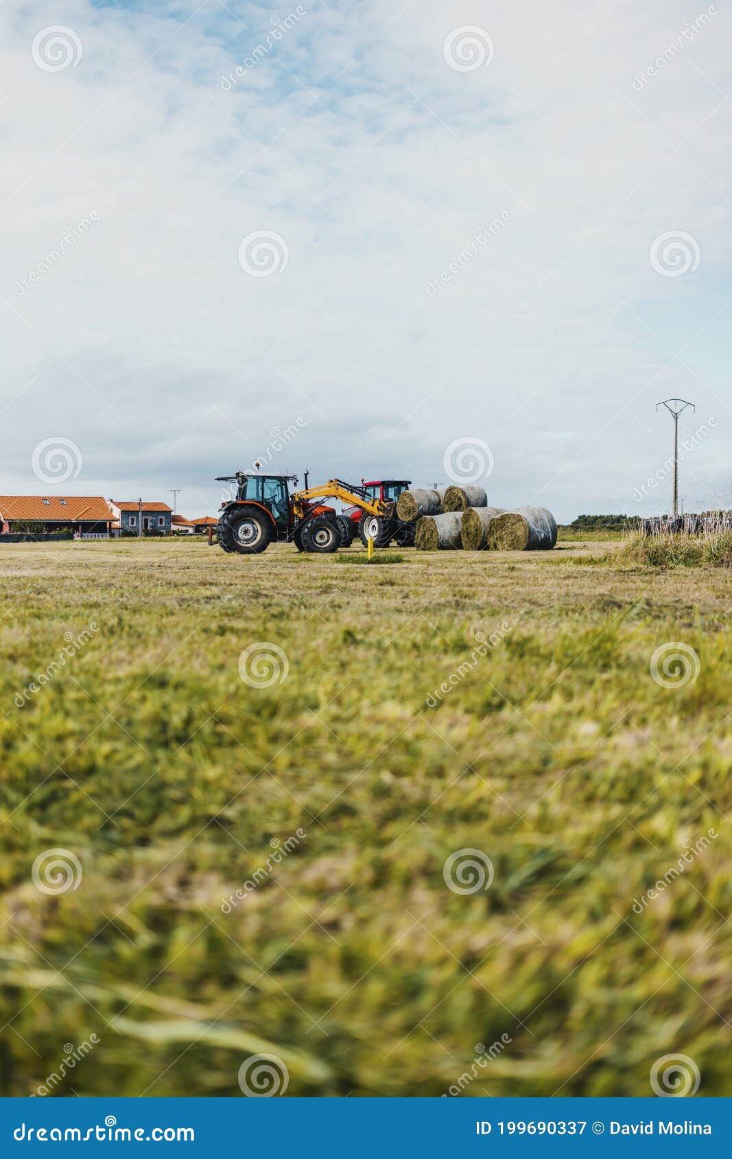 A Tractor Loading a Trailer during Harvesting Time Stock Image - Image ...